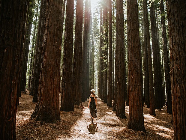 Riparide - Book a short nature escape