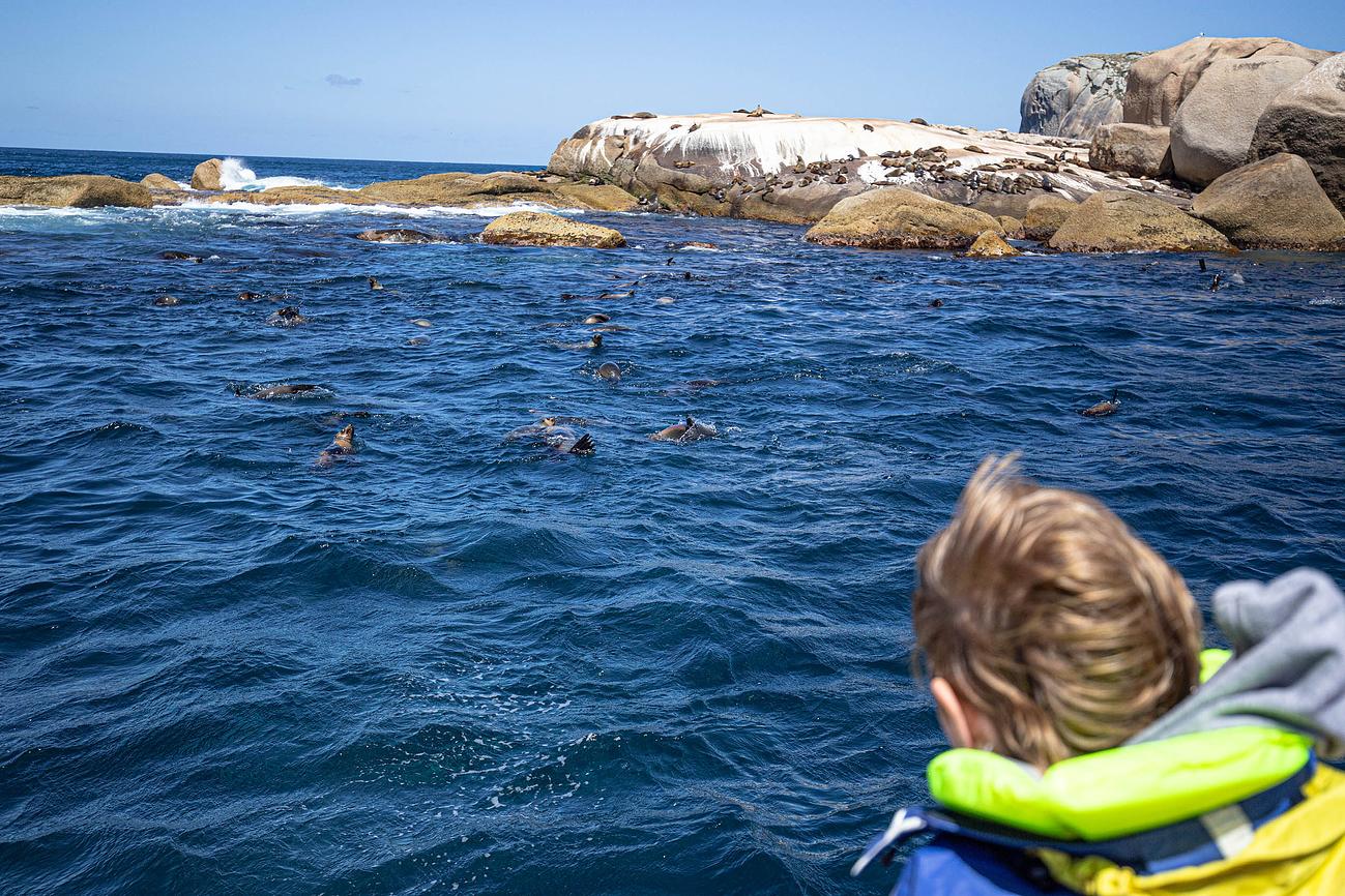Cozy Cabin by the Prom - Adventure by Xavier in Yanakie, Gippsland, VIC ...