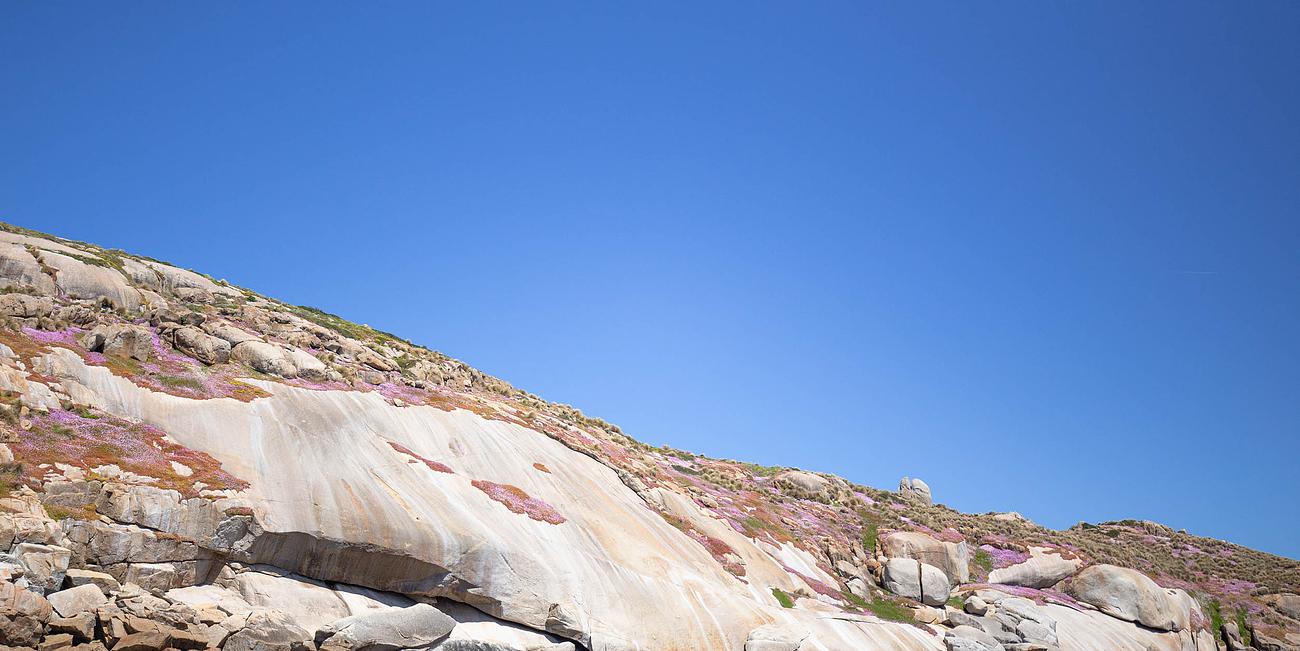 Cozy Cabin by the Prom - Adventure by Xavier in Yanakie, Gippsland, VIC ...