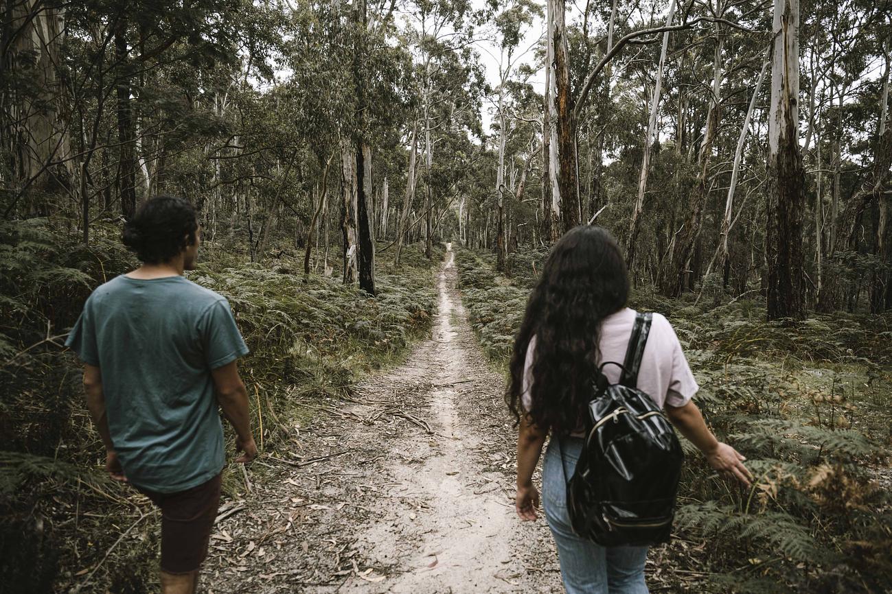 Hutchins Track | Riparide