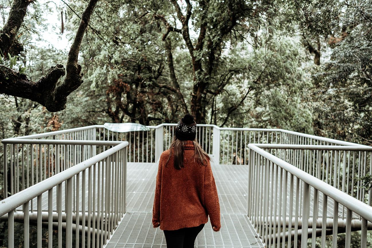 The Rainforest Gallery | Riparide