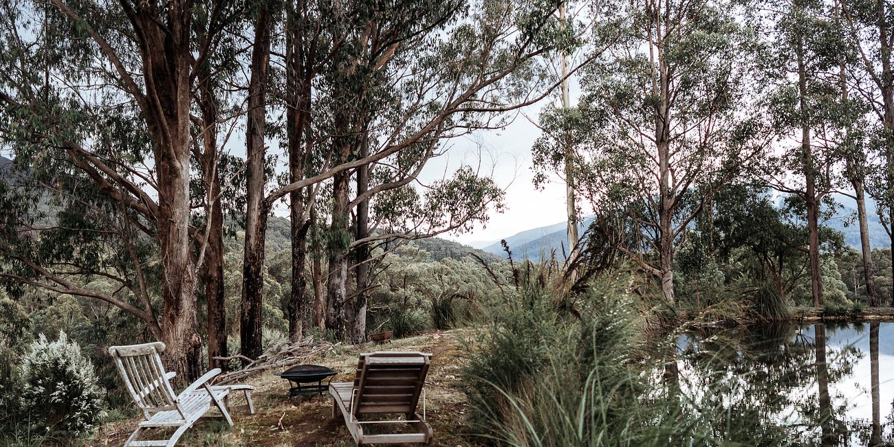 Great Forest Tiny Retreat - Tiny house for Rent in Warburton Big Pats ...