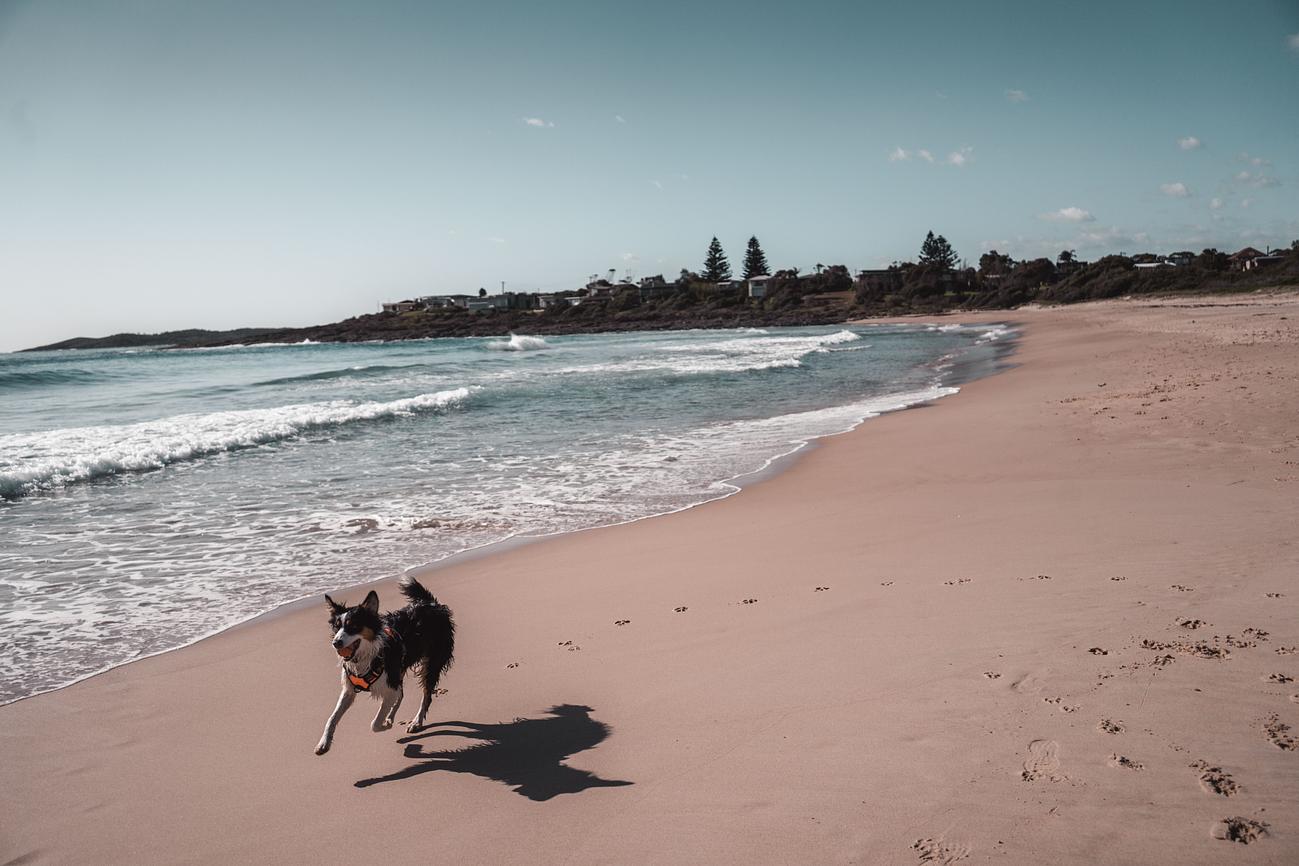 Dog Friendly Billabong Retreat - Adventure by Ellie in Bawley Point, South Coast, NSW, AU | Riparide