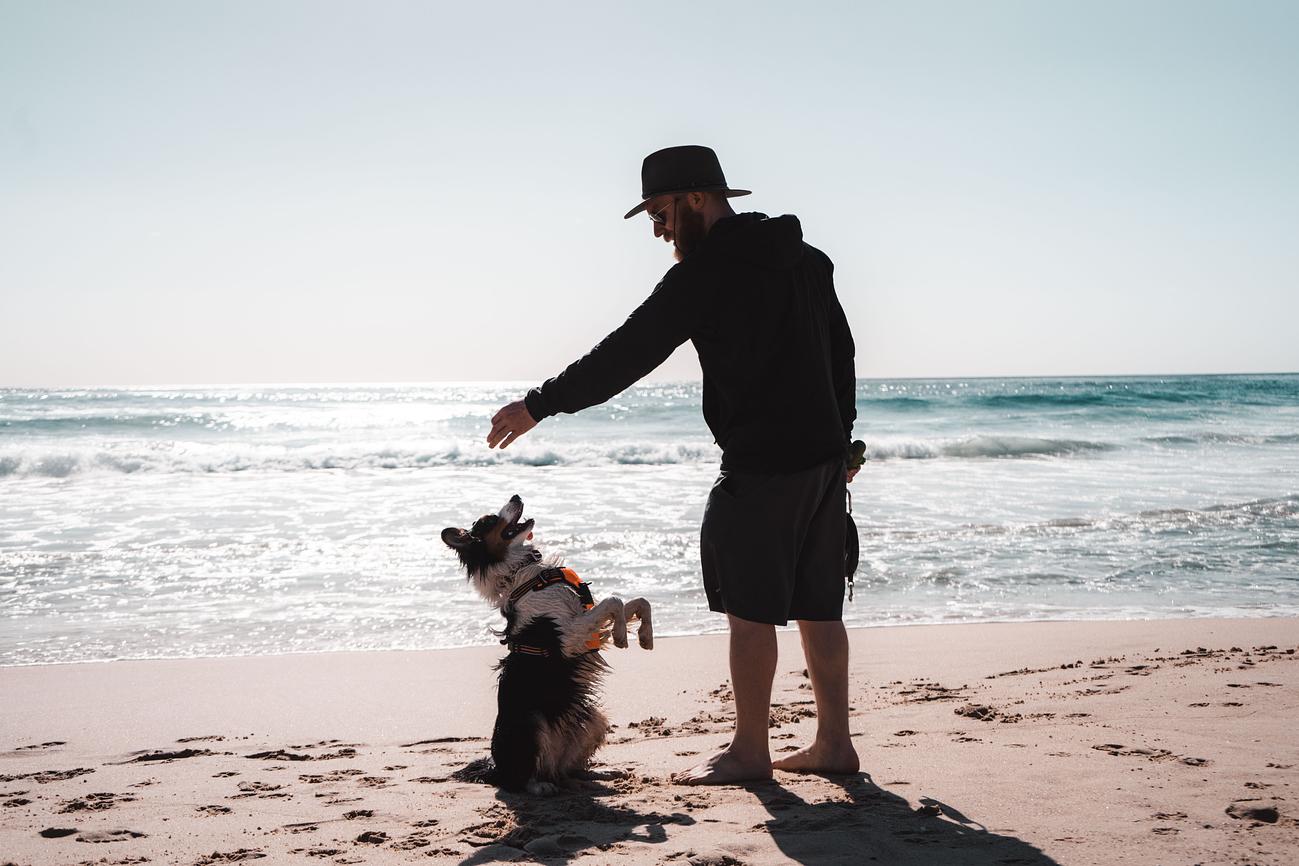 Dog Friendly Billabong Retreat - Adventure by Ellie in Bawley Point, South Coast, NSW, AU | Riparide