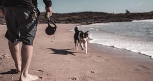 Dog Friendly Billabong Retreat - Adventure by Ellie in Bawley Point, South Coast, NSW, AU | Riparide