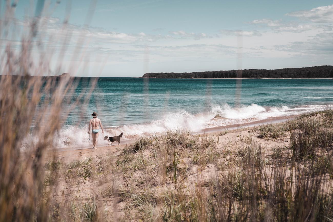Dog Friendly Billabong Retreat - Adventure by Ellie in Bawley Point, South Coast, NSW, AU | Riparide