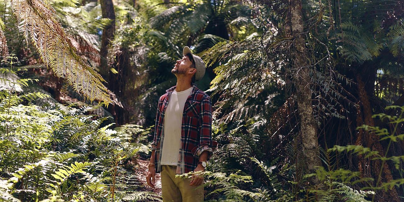 Bush Magic - Adventure by Tayla + Ben in Goongerah, Gippsland, VIC, AU ...