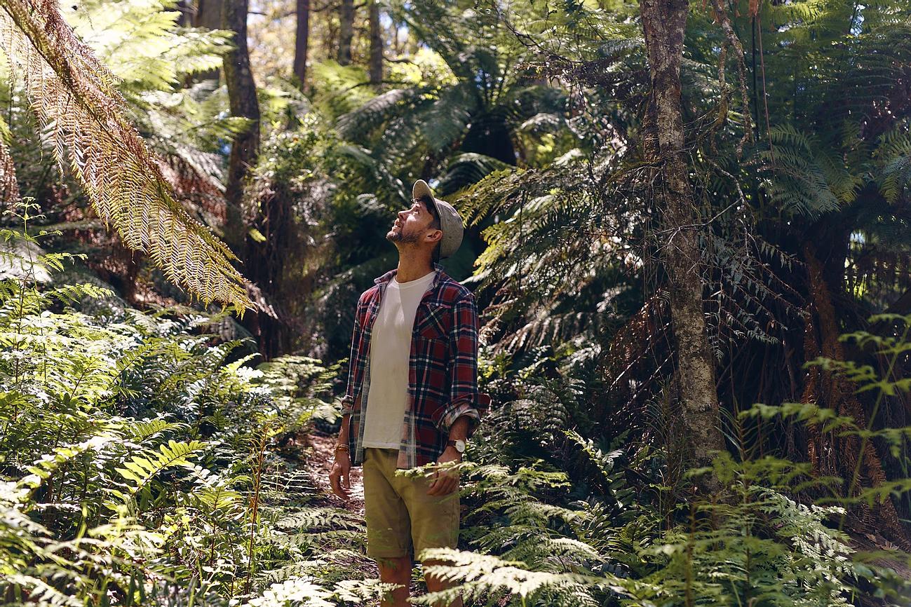 Bush Magic - Adventure by Tayla + Ben in Goongerah, Gippsland, VIC, AU ...