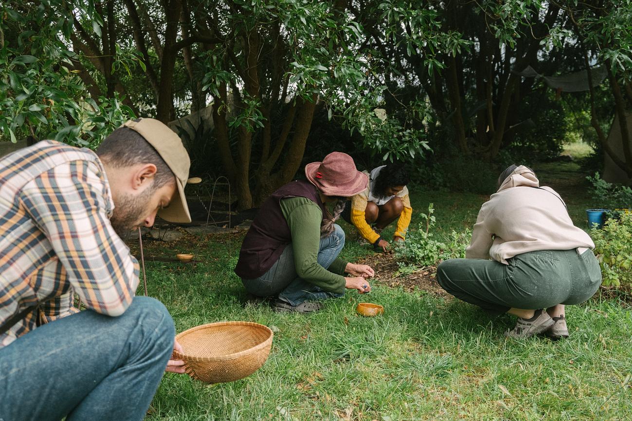 Edible Bush Weeds Walk with Suzy | Riparide