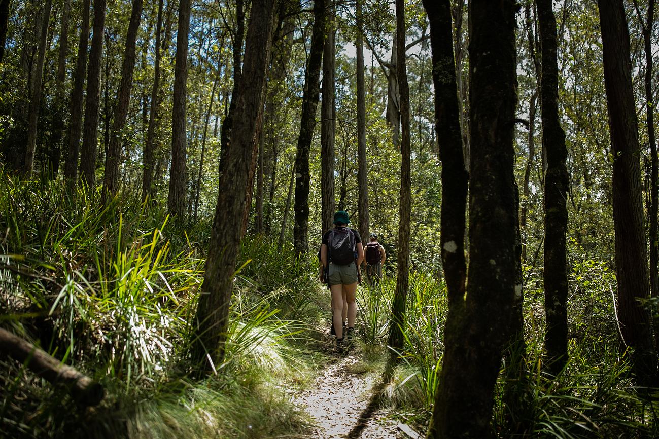 Gloucestor Tops Hike | Riparide
