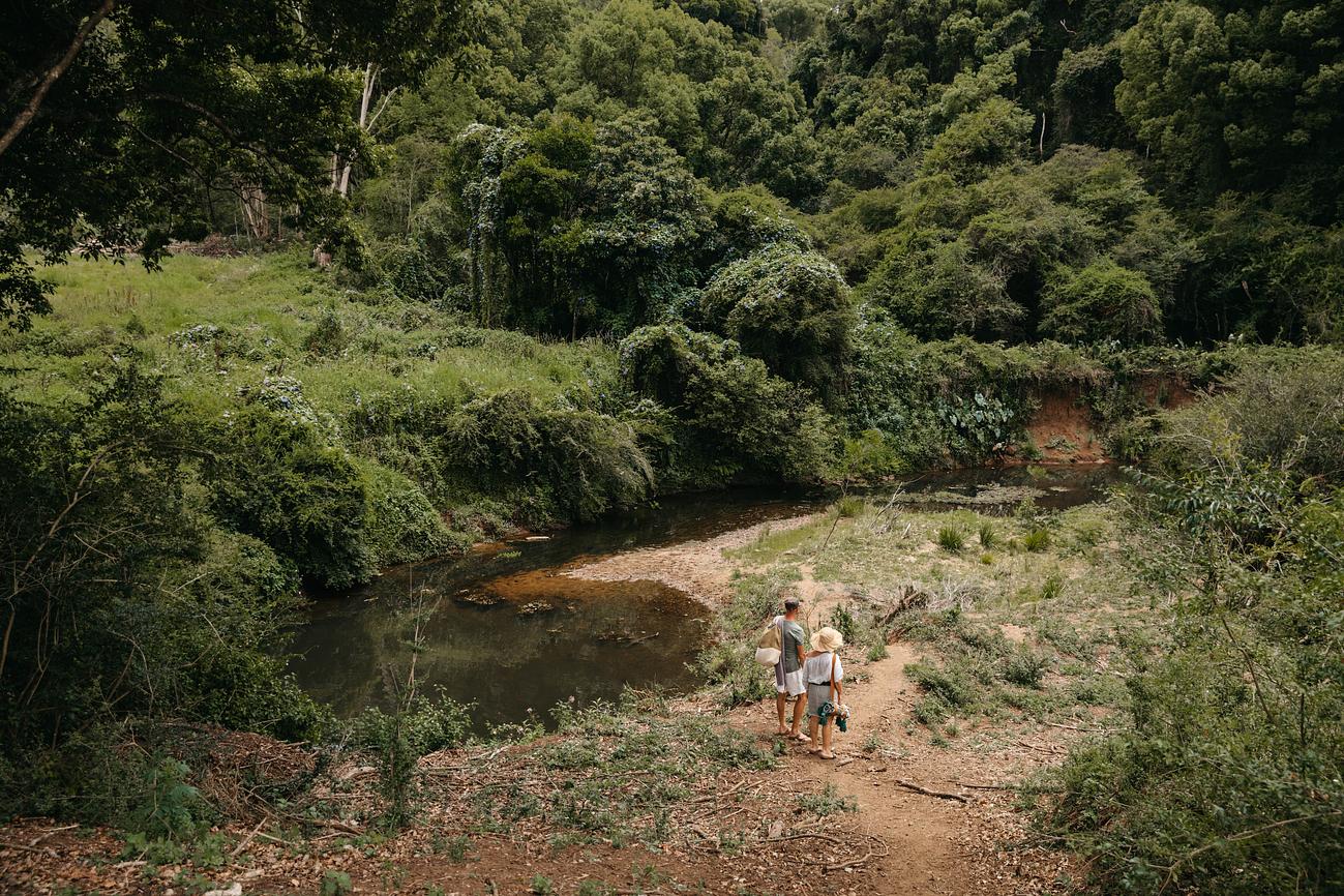 Picnic on Wilson River | Riparide
