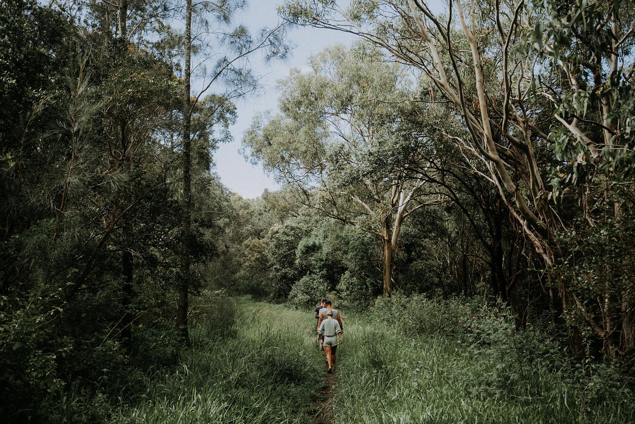 Back beach bushwalk | Riparide