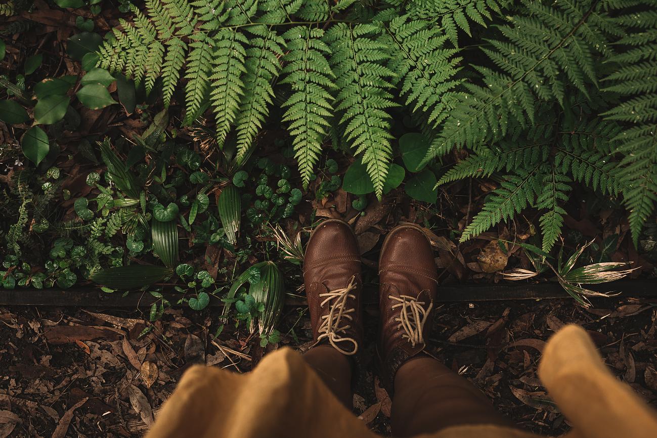 Tiny Forest Getaway - Adventure by Vaida in Termeil, South Coast, NSW ...