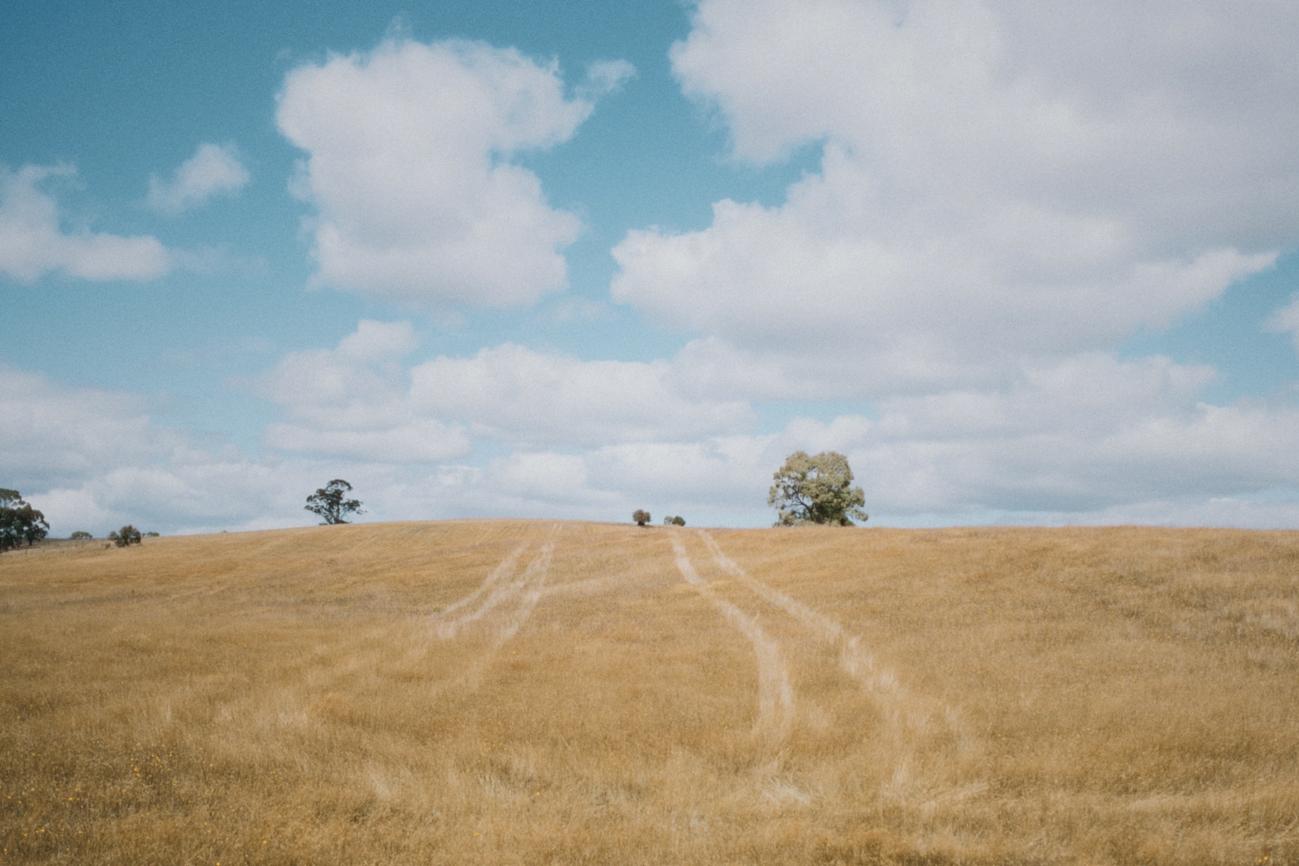 Porcupine Ridge | Riparide