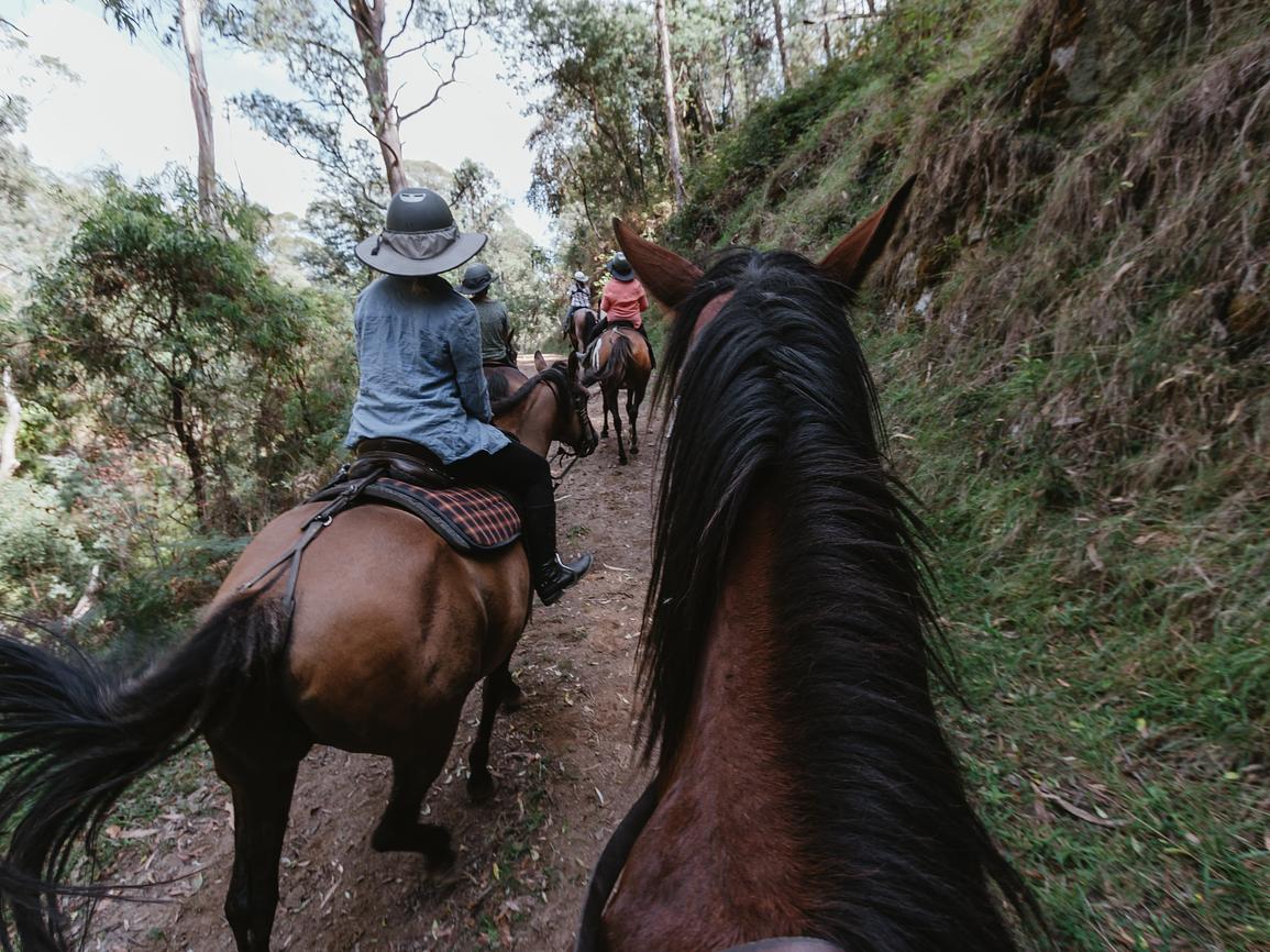 What a (Mount) Beauty! - Adventure by Trent in Mount Beauty, High ...