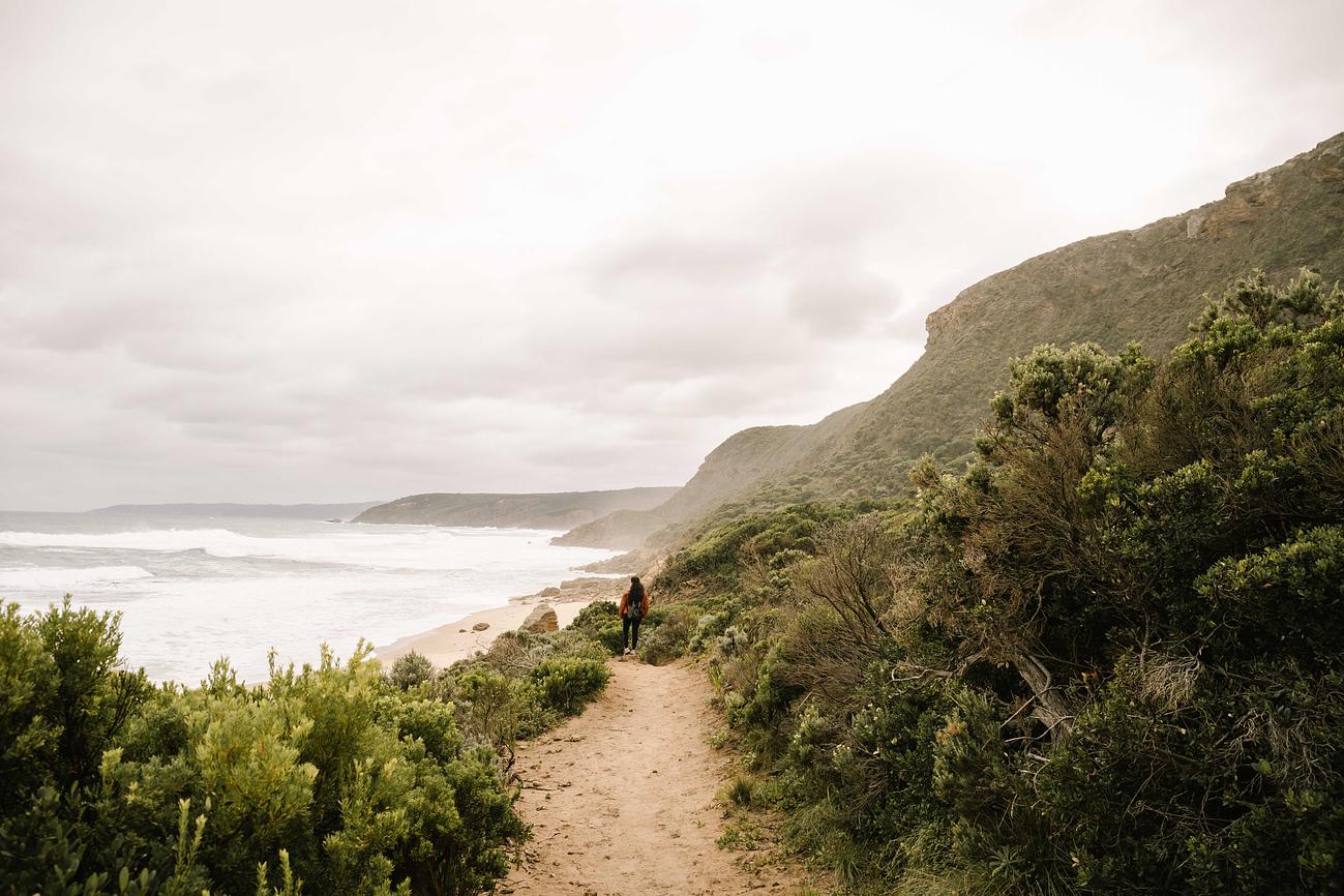 Great Ocean Beach Walk | Riparide
