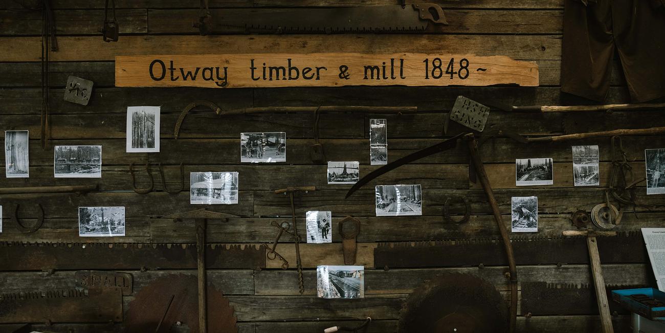 Mesmerised in the Otway’s - Adventure by Daniel in Hordern Vale, Great ...