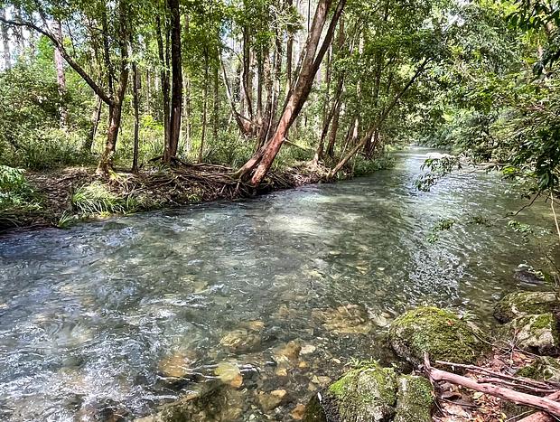 Hinterhouse - On the Never Never River Near Bellingen - House for Rent in Gleniffer, North Coast ...