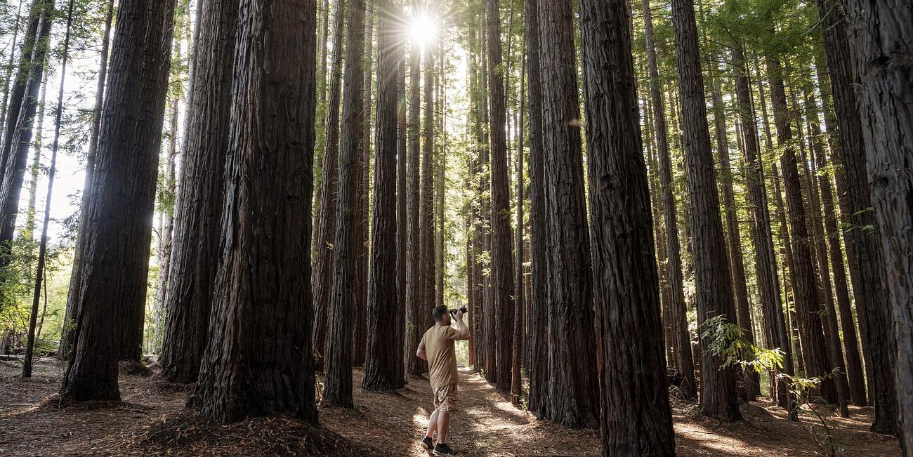 Mr Oak Warburton - House for Rent in Warburton, Yarra Valley, VIC, AU | Riparide