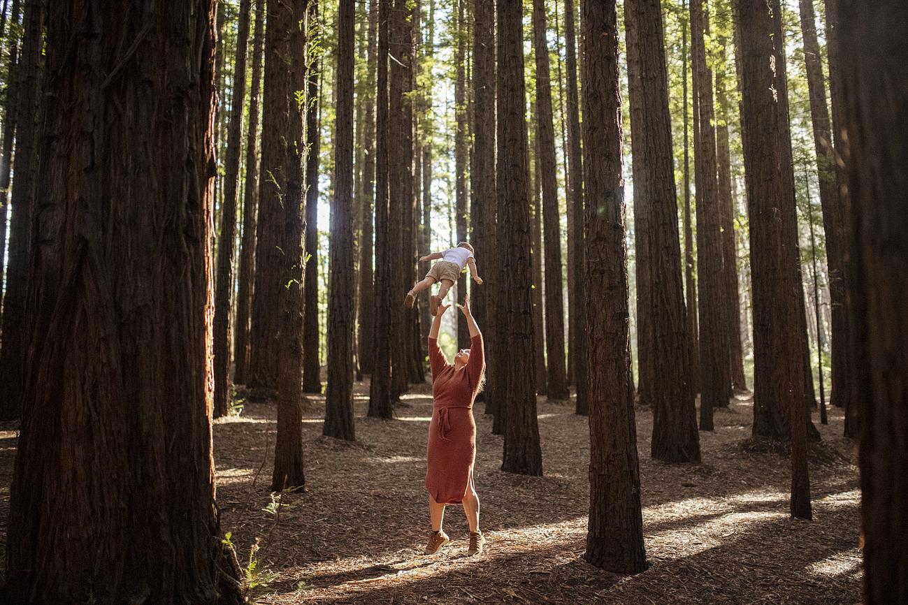 Meeting Mr Oak - Adventure by Jesse in Warburton, Yarra Valley, VIC, AU | Riparide