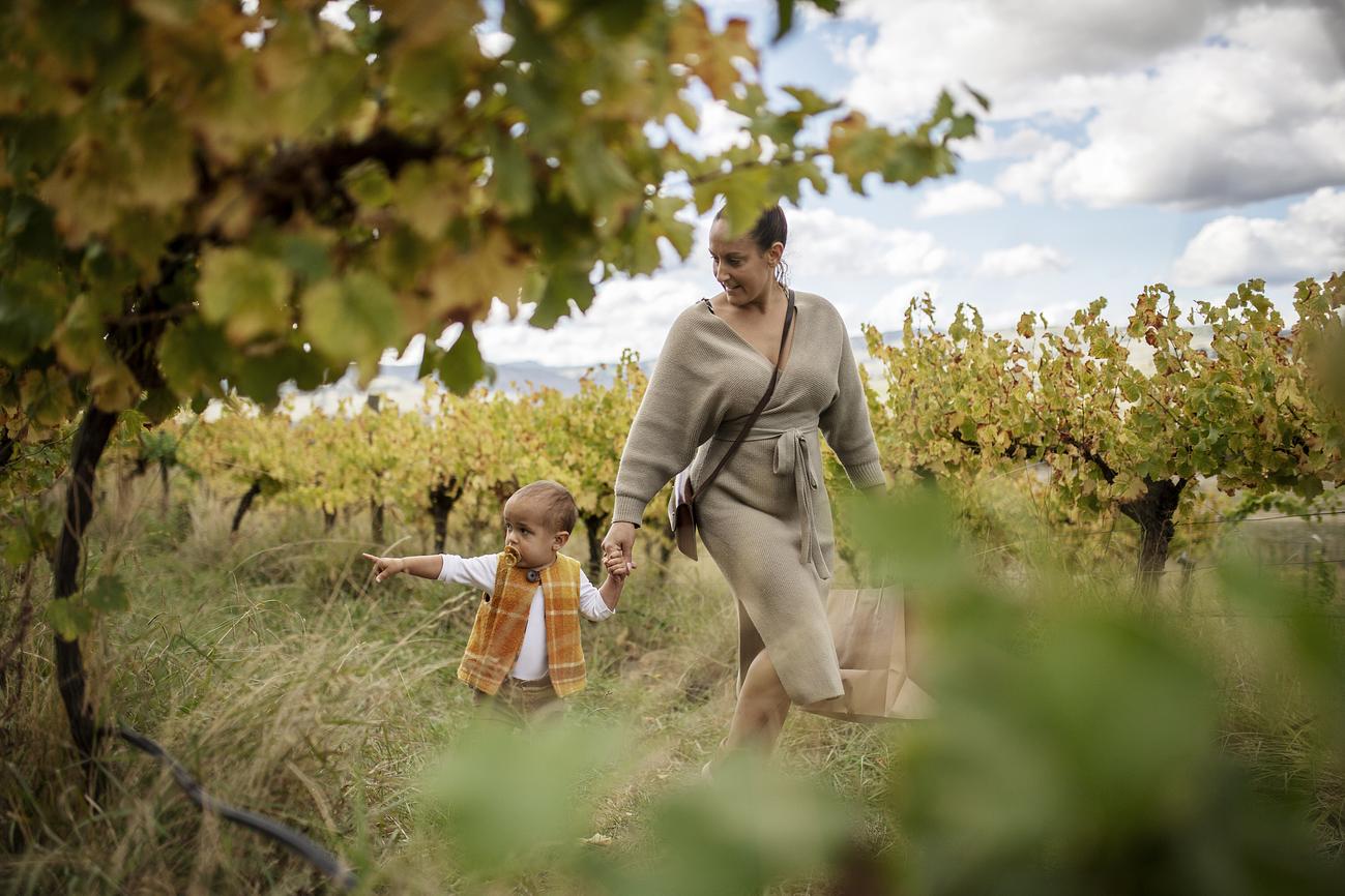 Delatite Wines | Riparide