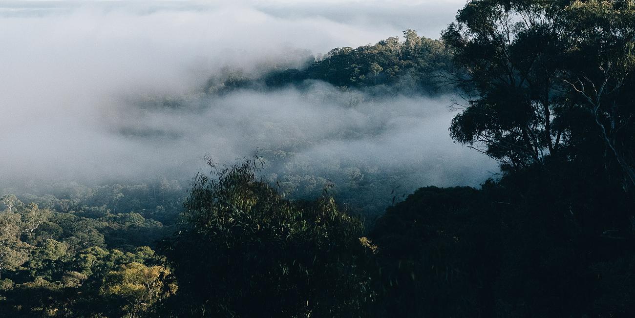 Hidden Hills of Howqua - Adventure by Tanika in Howqua Hills, High ...