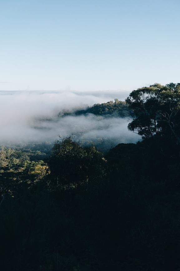 Hidden Hills of Howqua - Adventure by Tanika in Howqua Hills, High ...