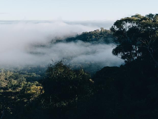 Hidden Hills of Howqua - Adventure by Tanika in Howqua Hills, High ...