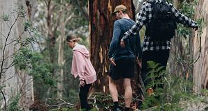 Hidden Hills of Howqua - Adventure by Tanika in Howqua Hills, High ...