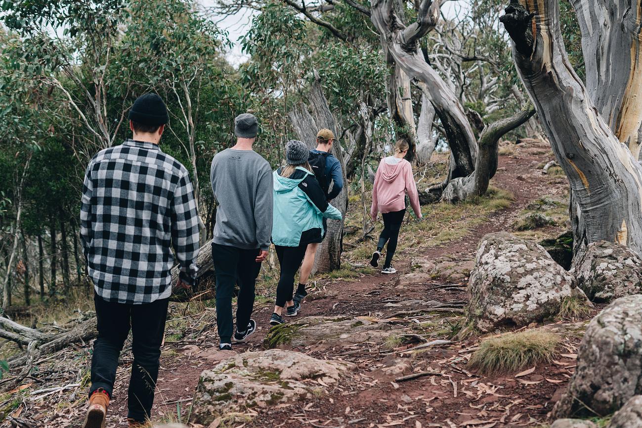 Hidden Hills of Howqua - Adventure by Tanika in Howqua Hills, High Country, VIC, AU | Riparide