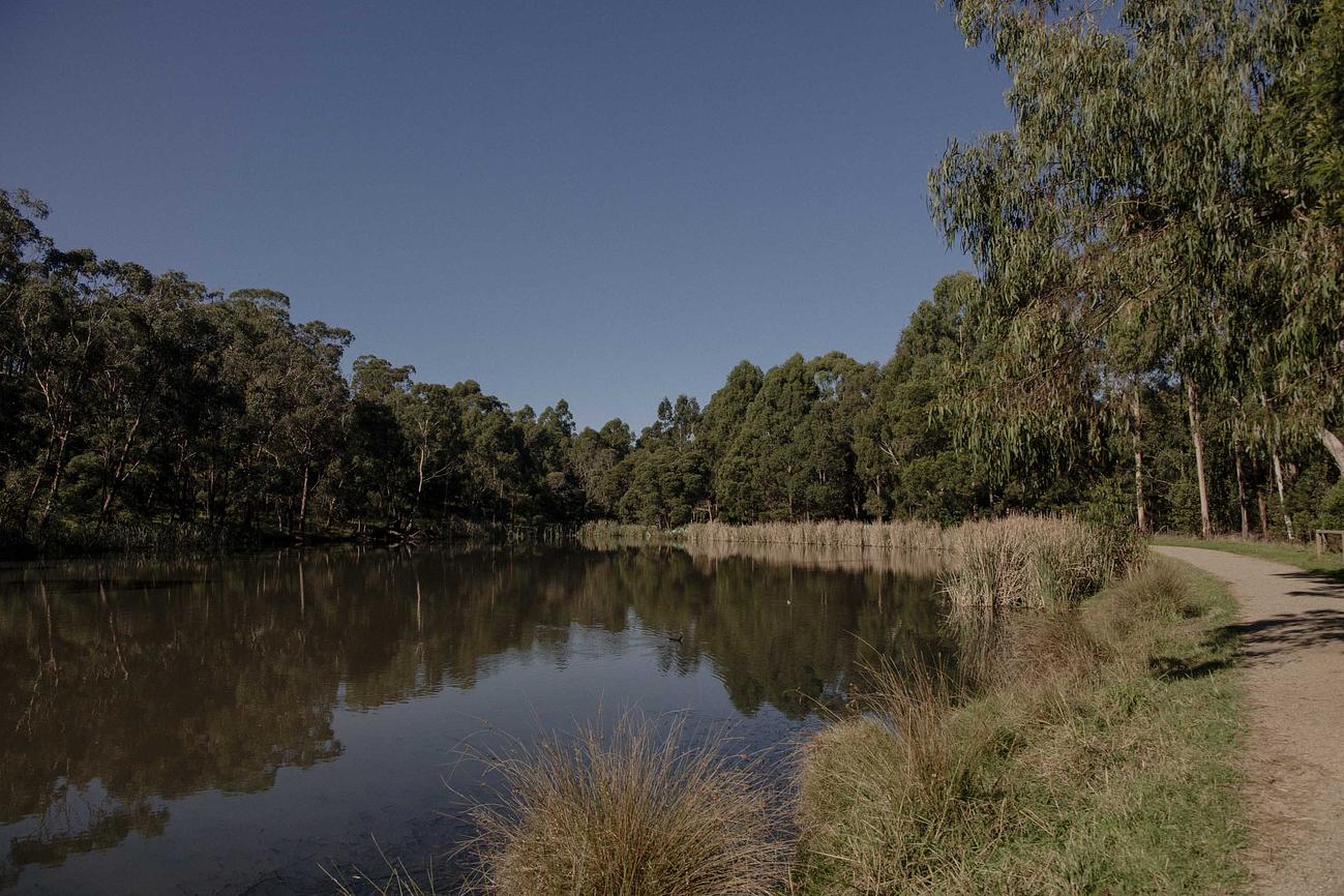 Birdsland Reserve | Riparide