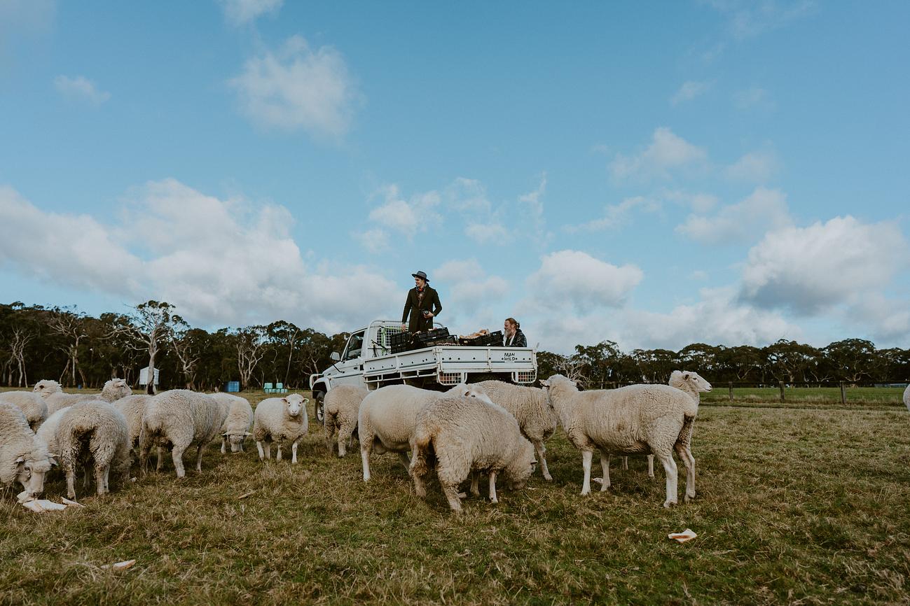Next Stop, Redleaf Farm - Adventure by Kadek in Fitzroy Falls, Country ...