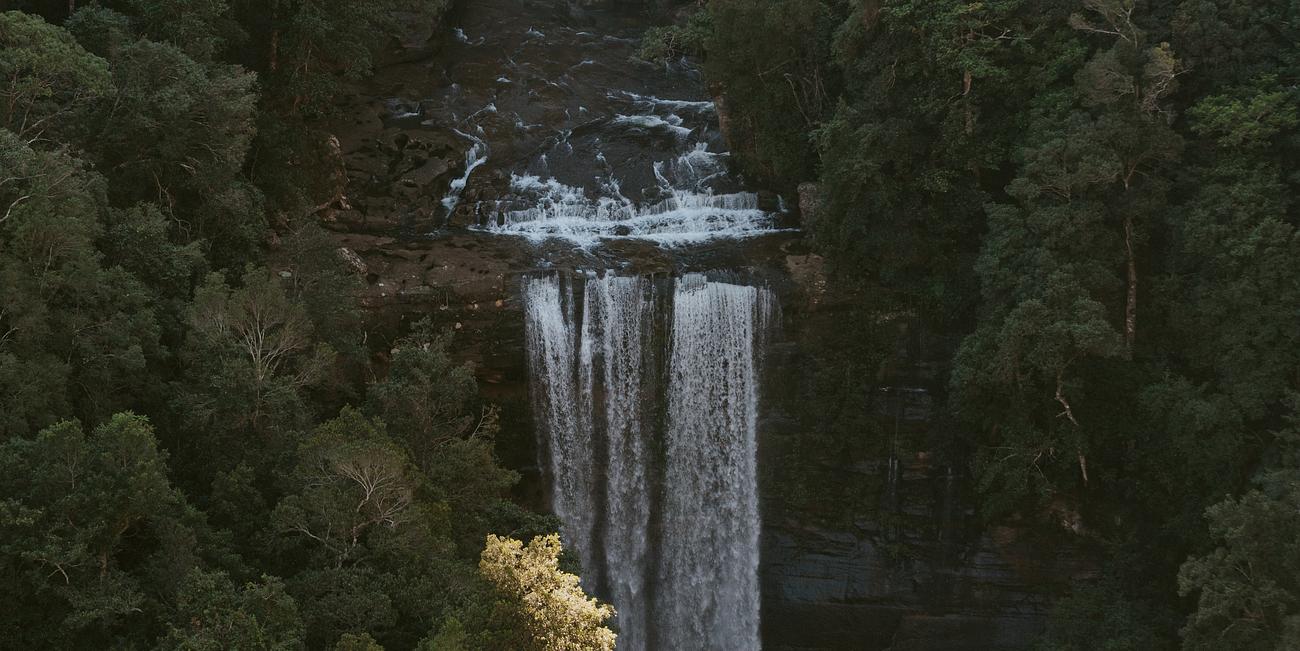 Next Stop, Redleaf Farm - Adventure by Kadek in Fitzroy Falls, Country NSW, NSW, AU | Riparide