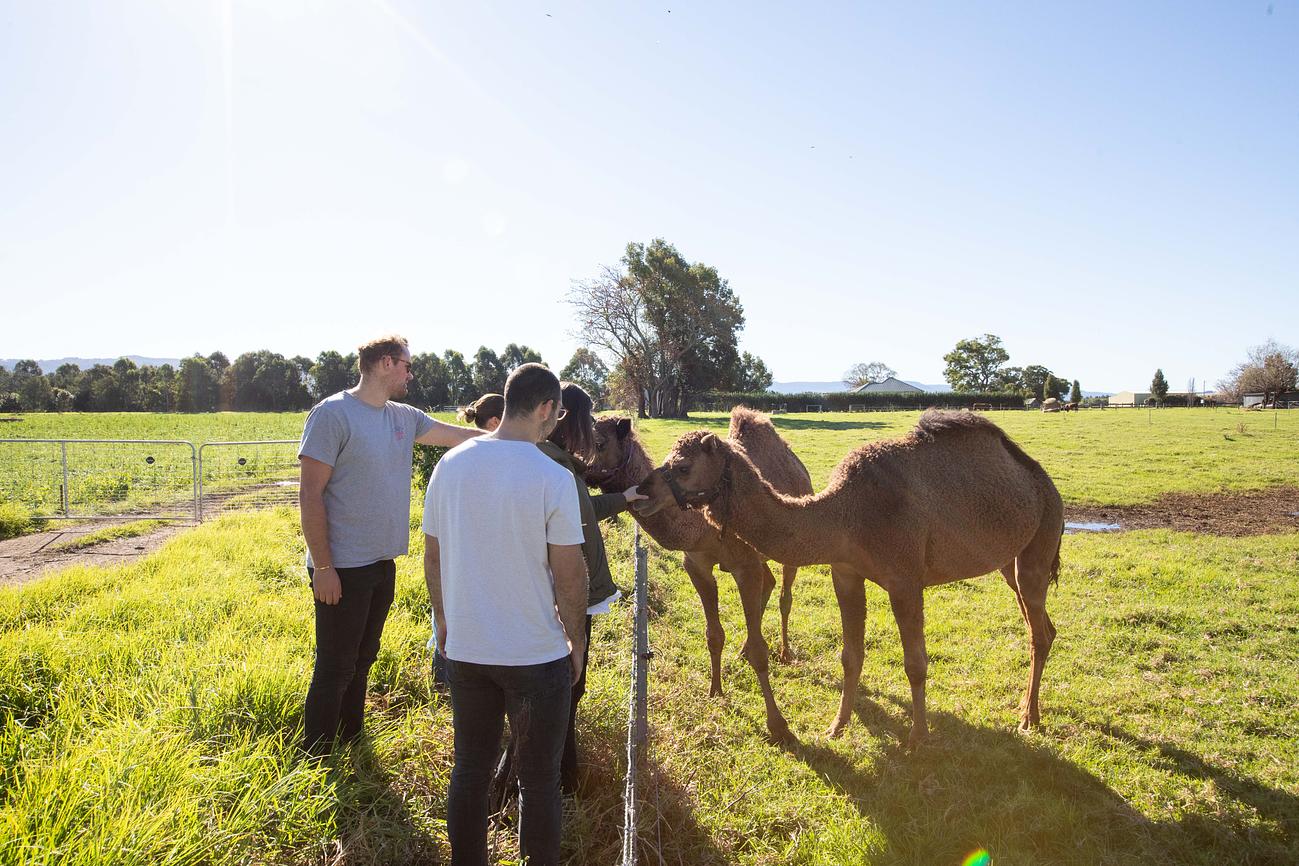 Explore Pyree | Riparide