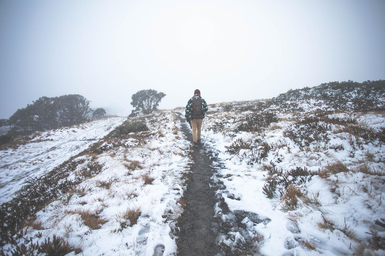 Mount Buller Summit Hike | Riparide