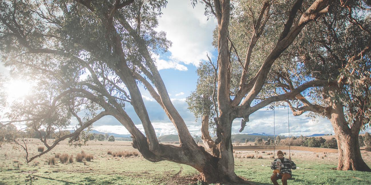 The Hut at Elm Tree Farm - Farm for Rent in Mansfield, High Country ...