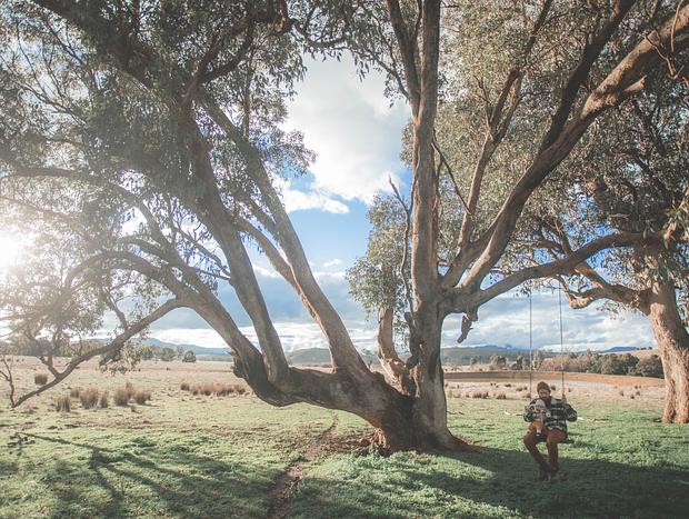 The Hut at Elm Tree Farm - Farm for Rent in Mansfield, High Country, VIC, AU | Riparide
