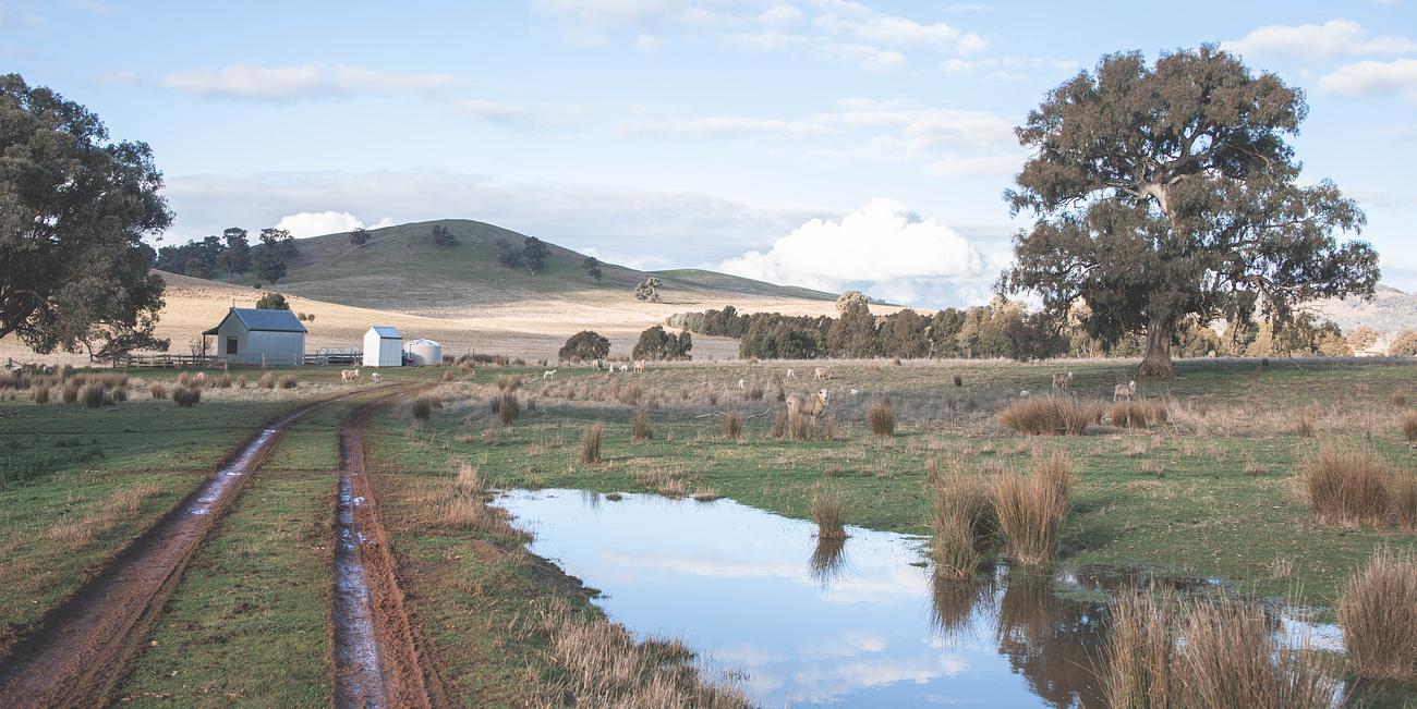 The Hut at Elm Tree Farm - Farm for Rent in Mansfield, High Country ...
