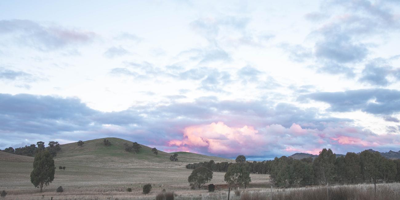 The Hut at Elm Tree Farm - Farm for Rent in Mansfield, High Country ...