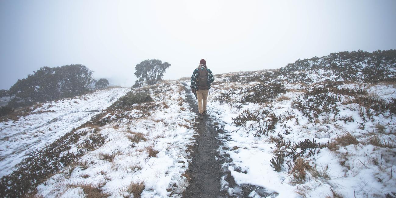 The Hut at Elm Tree Farm - Farm for Rent in Mansfield, High Country ...