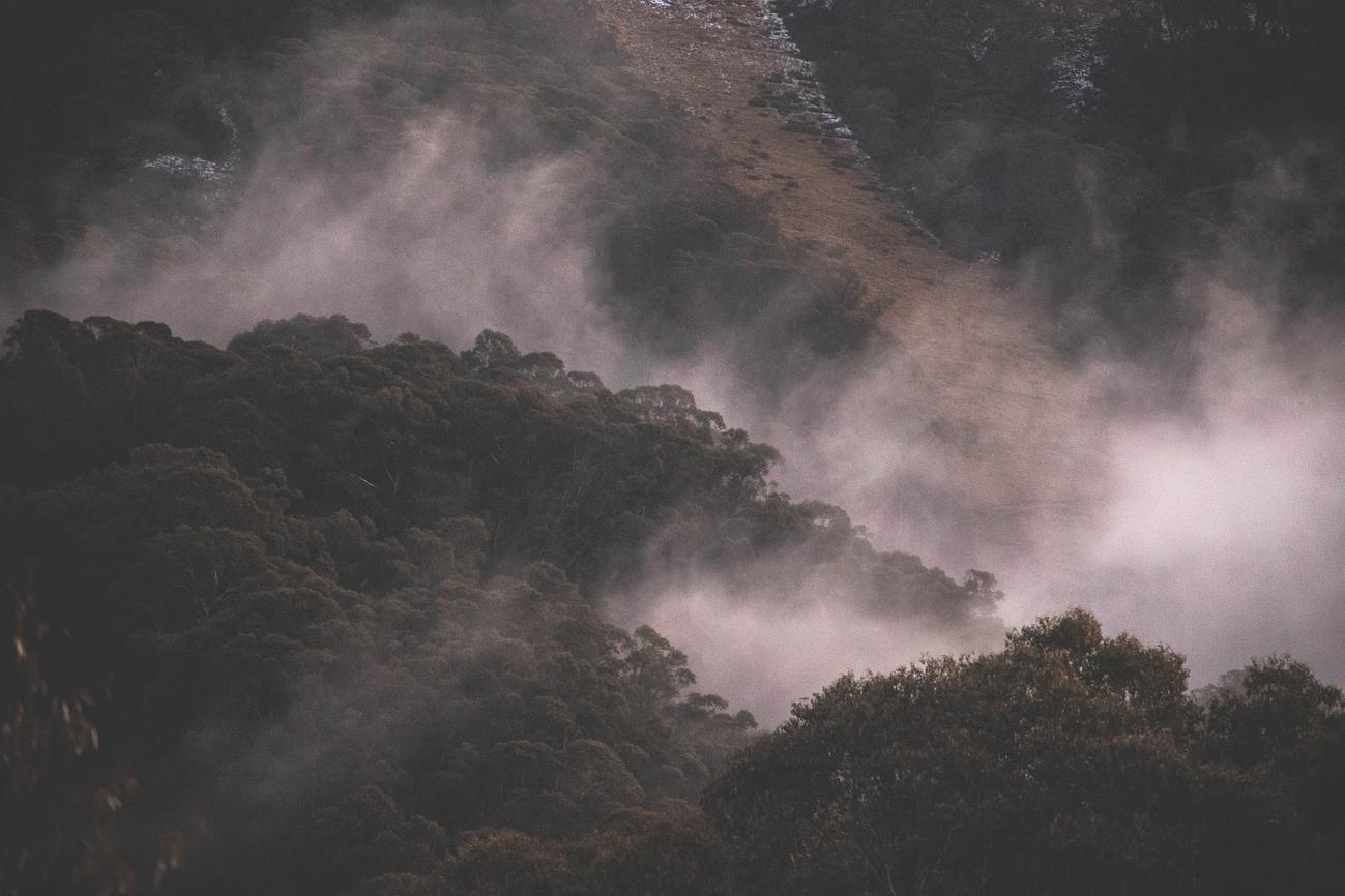 The Hut at Elm Tree Farm - Farm for Rent in Mansfield, High Country ...