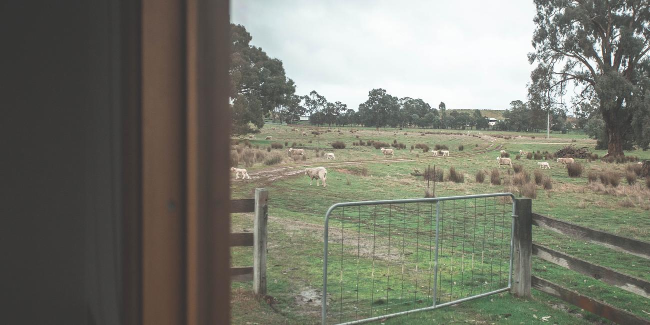 The Hut at Elm Tree Farm - Farm for Rent in Mansfield, High Country ...