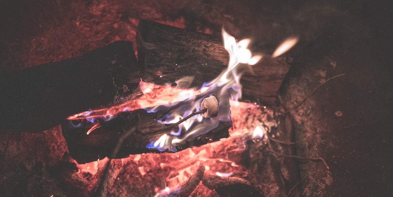 The Hut at Elm Tree Farm - Farm for Rent in Mansfield, High Country ...