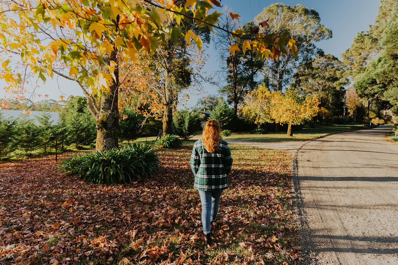 Explore the Property | Riparide