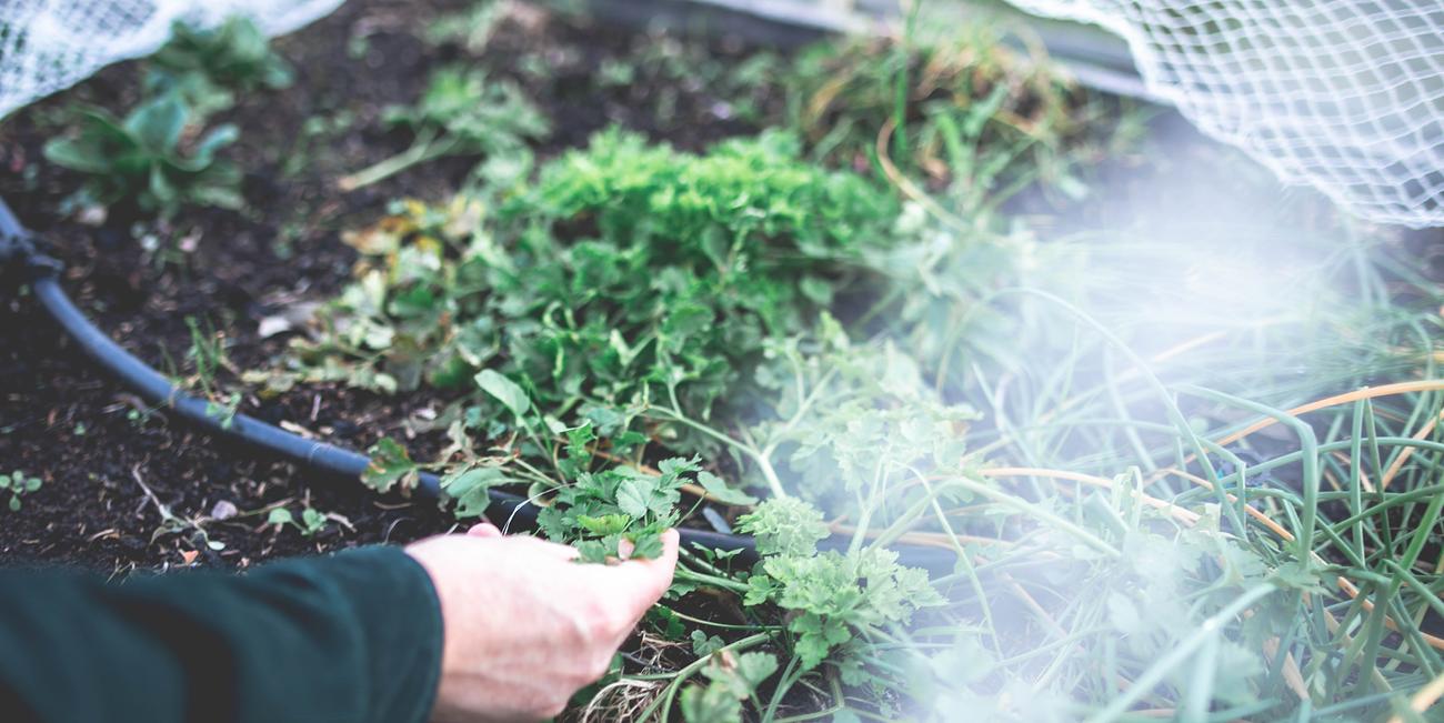 The Hut at Elm Tree Farm - Farm for Rent in Mansfield, High Country ...