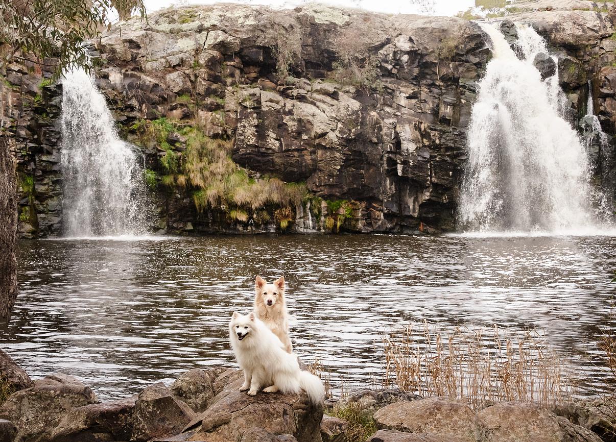 Goldfields Six Waterfall Drive | Riparide