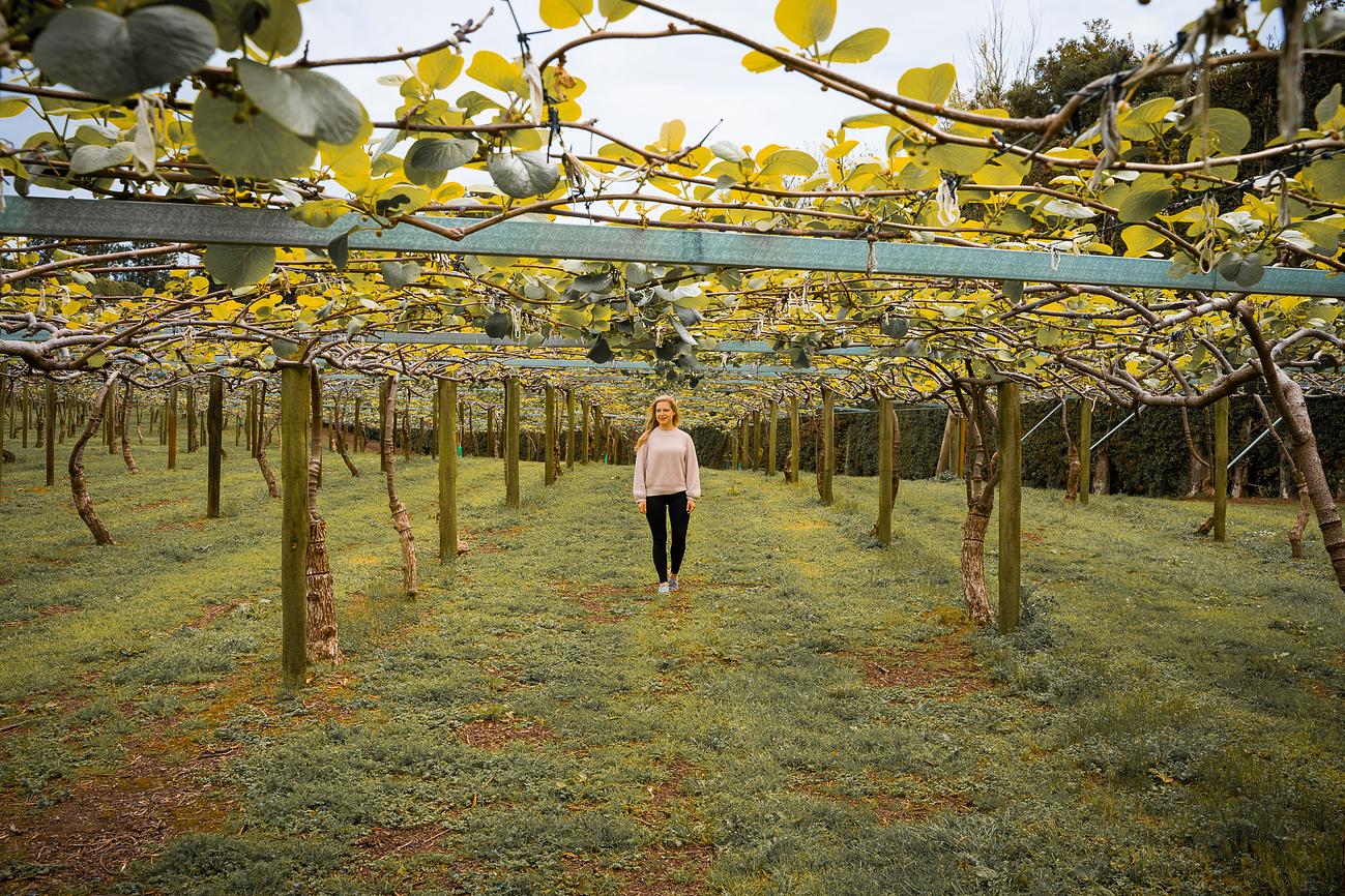 Exploring the Property | Riparide