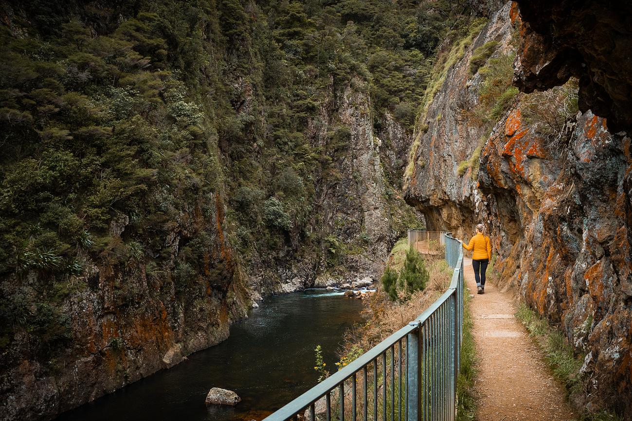 Karangahake Gorge | Riparide
