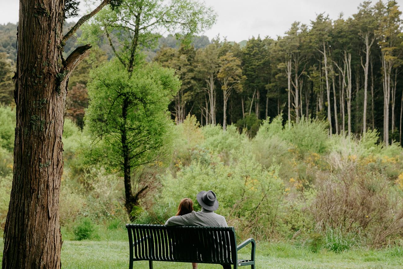 Private Track to the River | Riparide