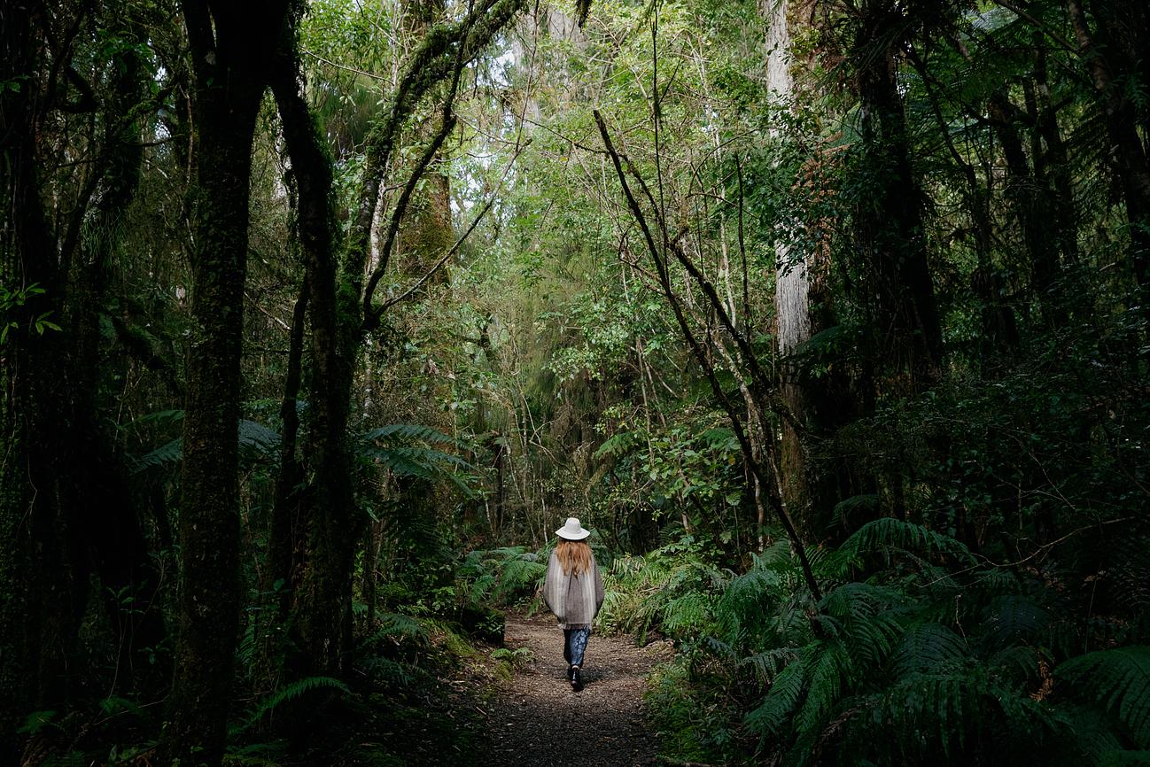 Amazing Reflections at Waihora Lagoon | Riparide